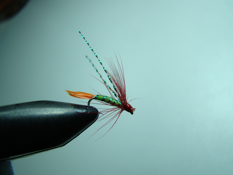 Pescuit cu musca artificiala: Taparine OBLETE