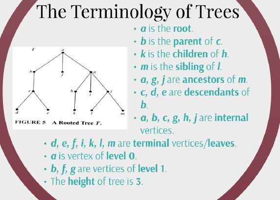 discrete mathematics group 1 topic 4 : Trees: 2017