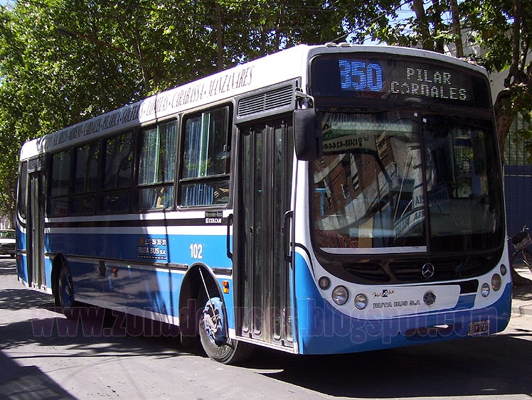 Colectibus - Zona de Buses: LINEA 350