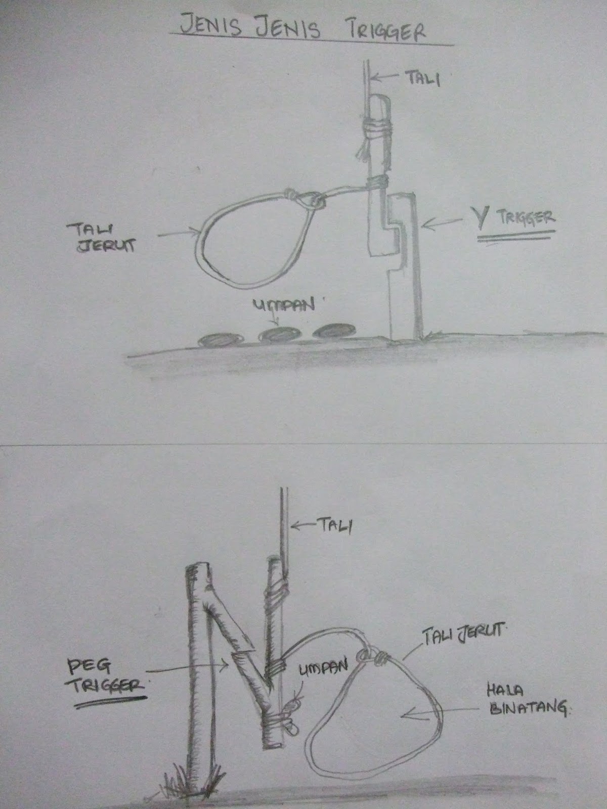 Cerok Survival Tokwan: JERAT/SNARES UNTUK NEWBIES.