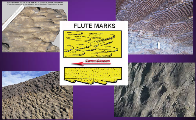 Estructuras primarias inorgánicas (marcas superficiales y de corriente ...