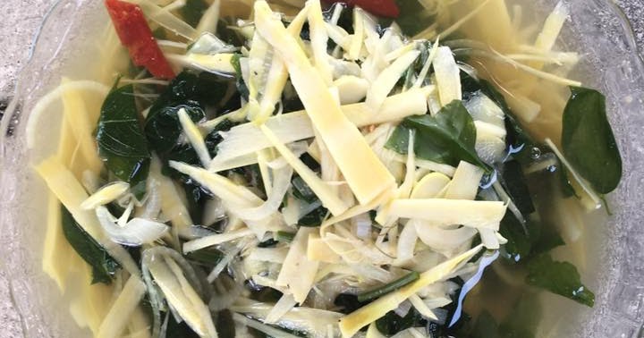 SAYUR MANIS REBUNG PUCUK CEKUR MANIS & LETUP BULU