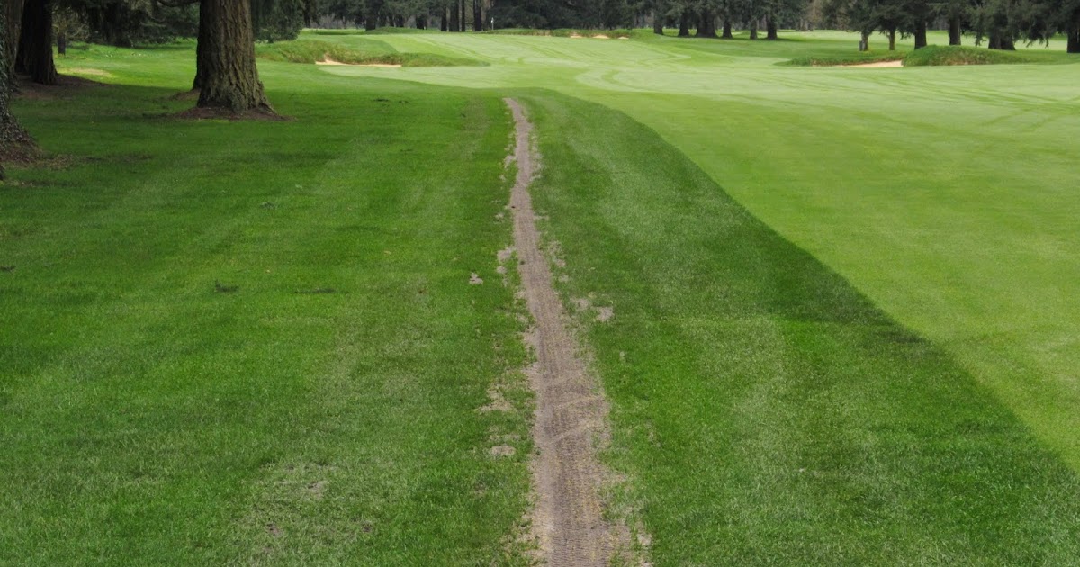 TacomaTurf: Root Pruning