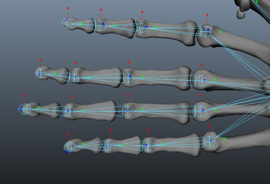 Anatamation: where Anatomy meets Animation: Types of Hand Rigs
