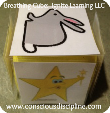 Ignite Learning with Conscious Discipline LLC: July 2013