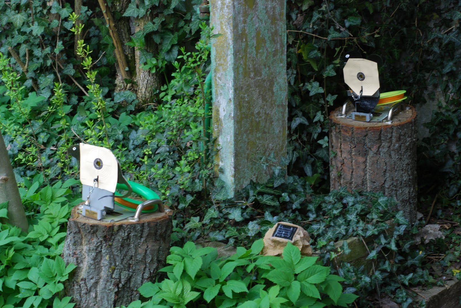 Field Target Südhessen: Ziele