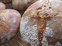 Levain Micro-Bakery