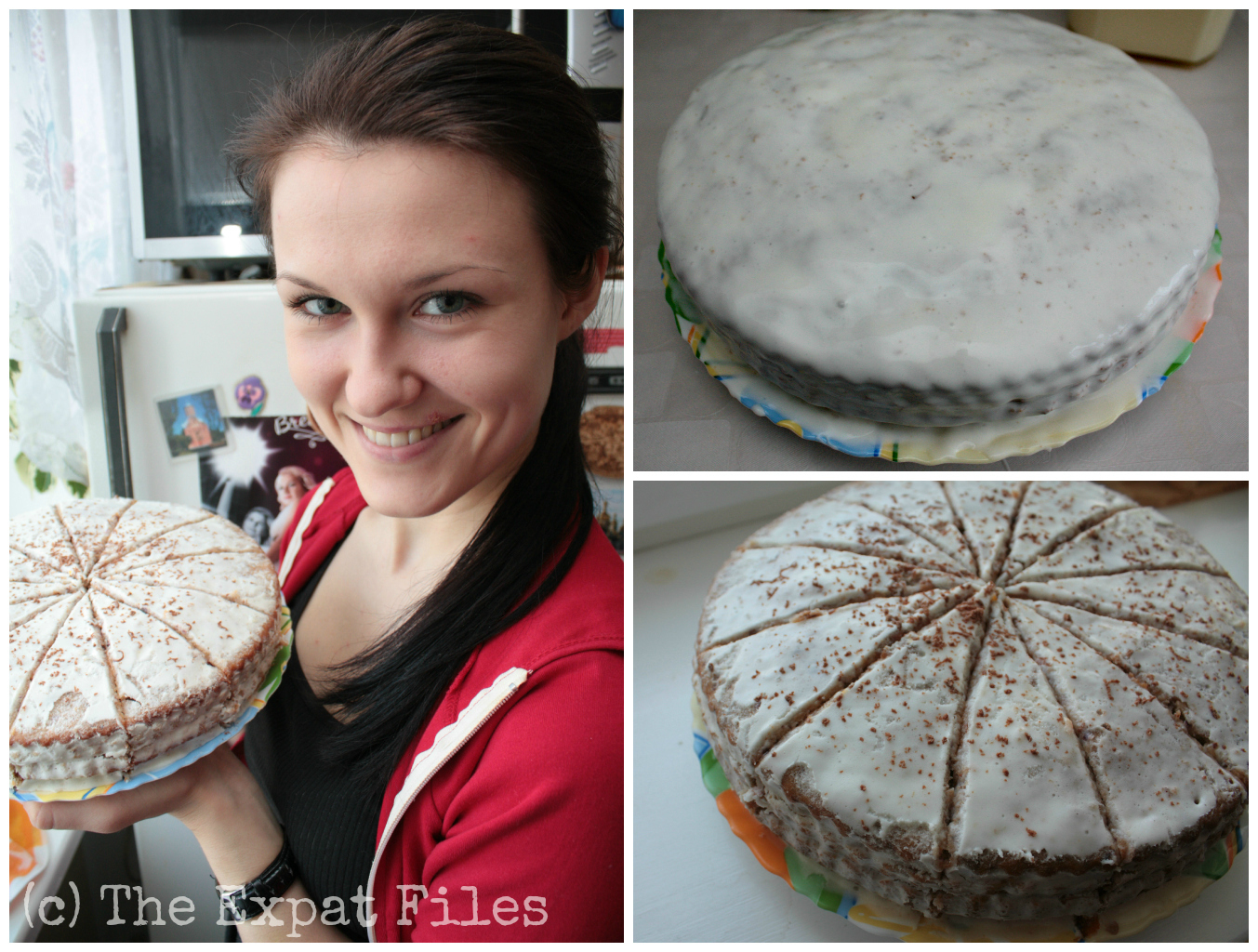 .: the expat files :.: Who doesn't like cake? ("Rotten Tree Stump Cake")