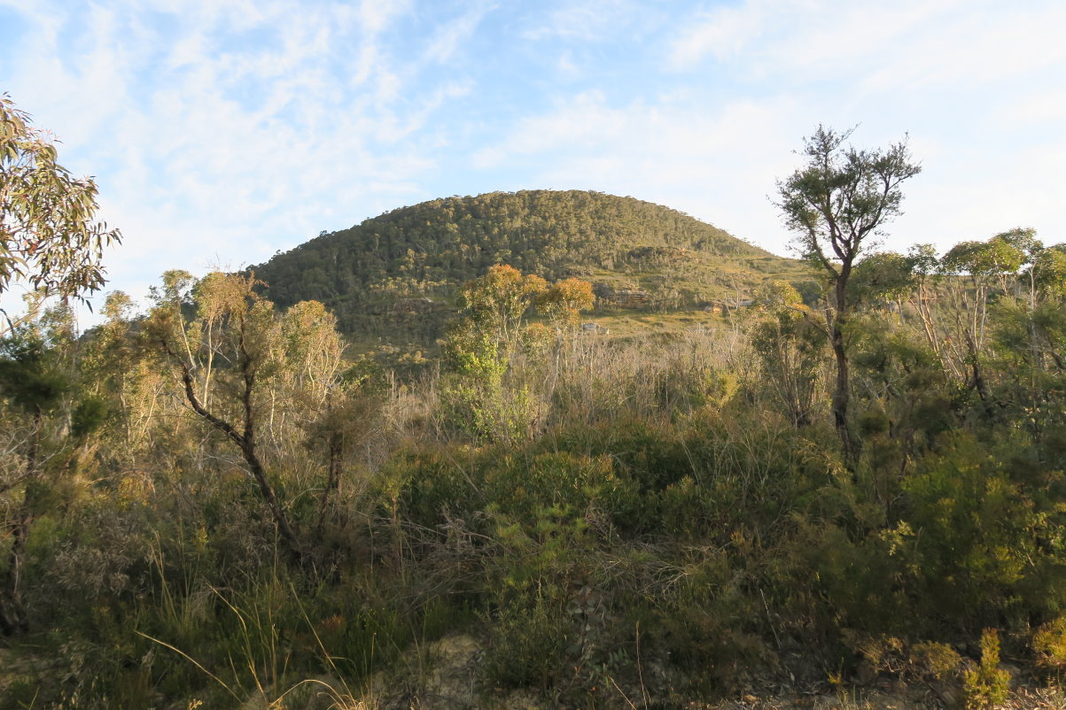 Mountains: Mt Banks & Mt Caley, NSW Blue Mts, Australia