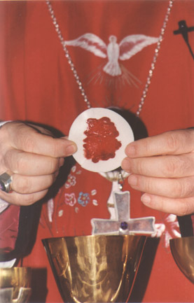 Know The Catholic Truth: Let The Miracles Speak The Truth!