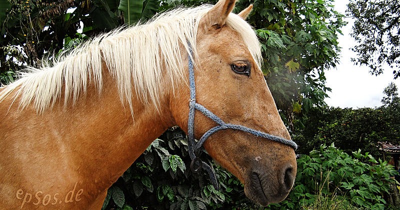 Rainbow: lithe and lissome - L