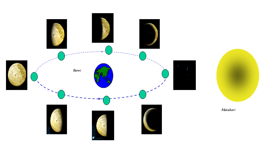 Red Butterfly: BULAN