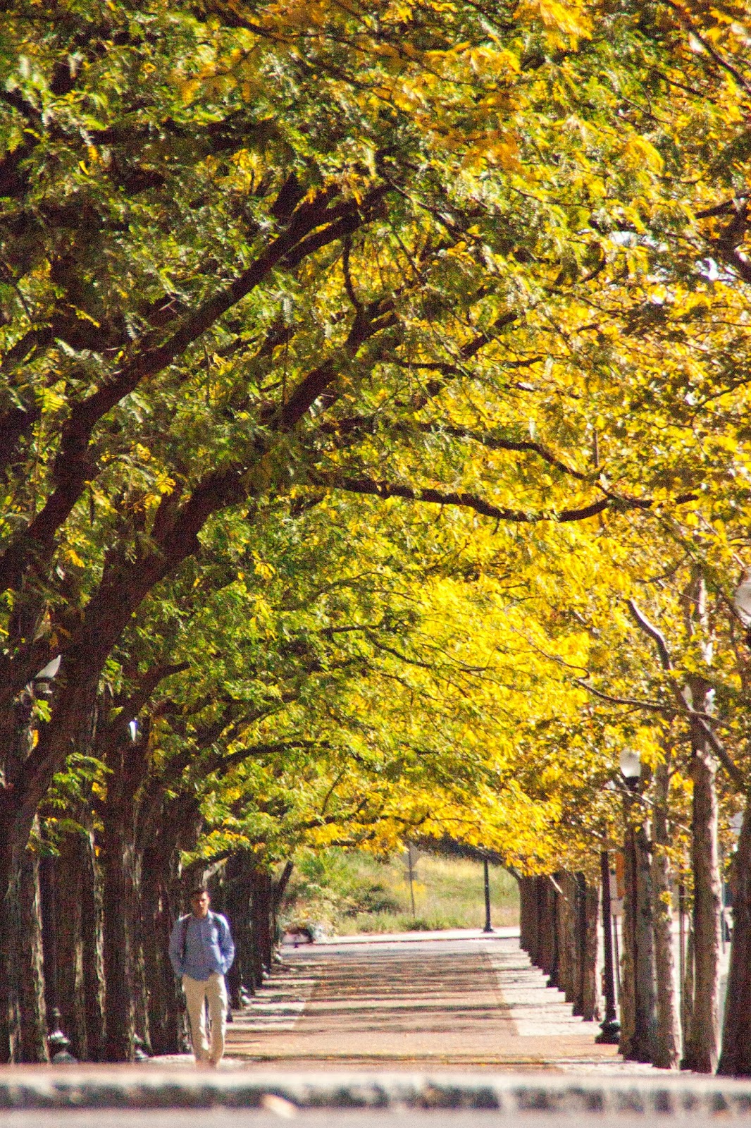 Obtaining homeostasis