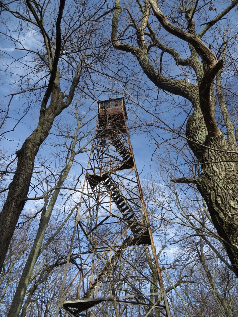 Skookum Traveler: Big Ridge and Cranny Crow (WV)
