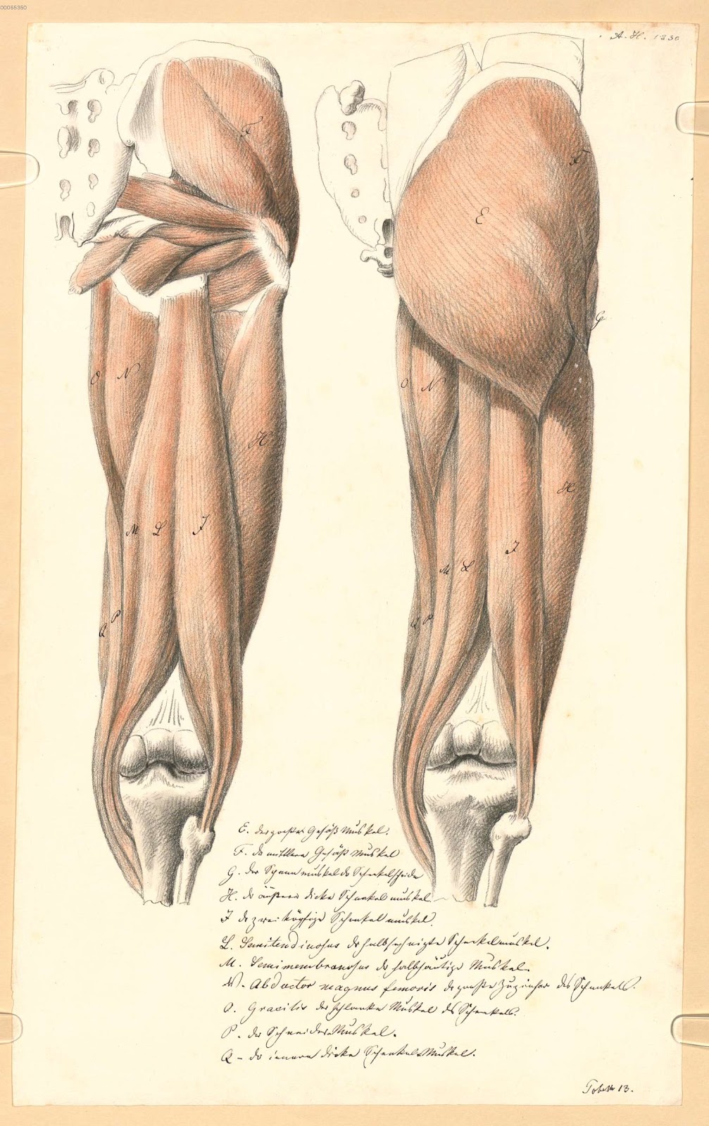 facsimilium: May 2012
