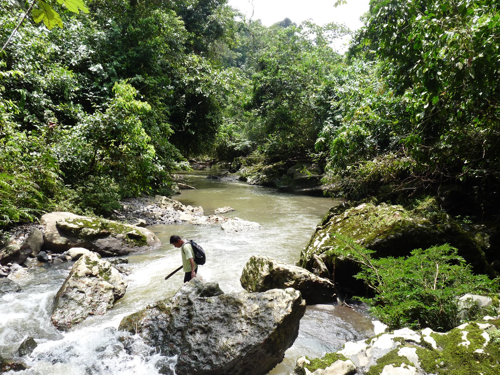 Artesanía y plantas medicinales amazónicas con Tio Jaime