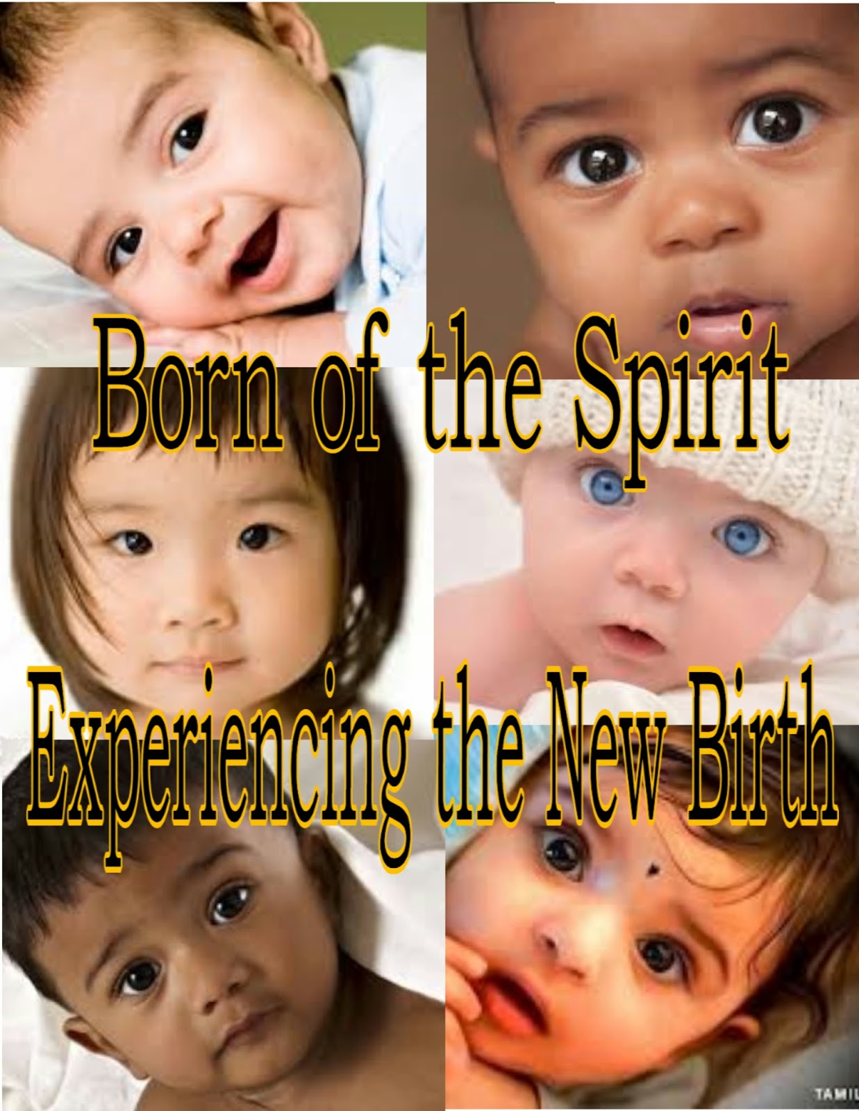 MaxEvangel: Born of the Spirit: Experiencing The New Birth