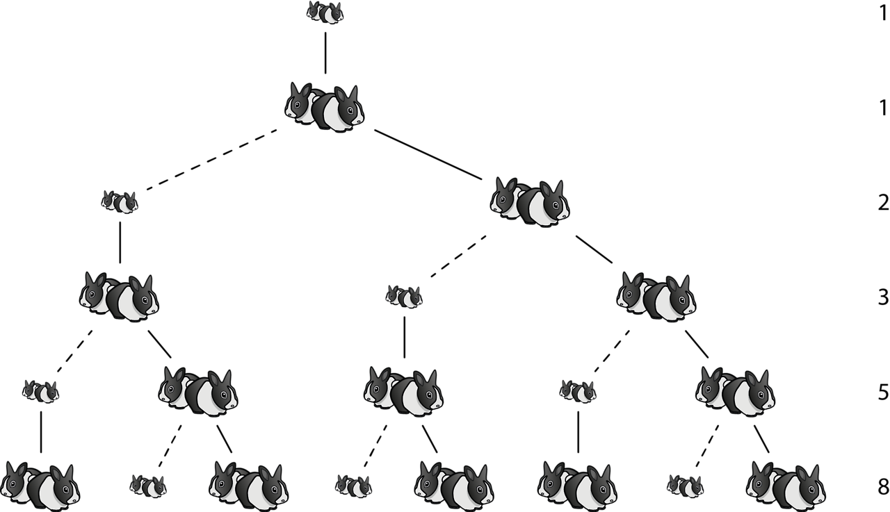 Sergio Pámies: FIBONACCI