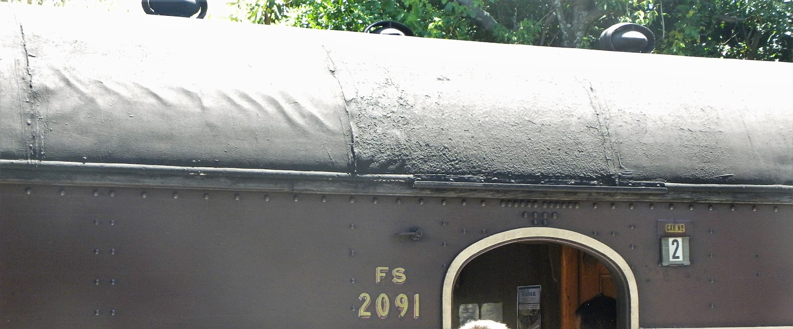 Philip's Creek: Malthoid Roofs