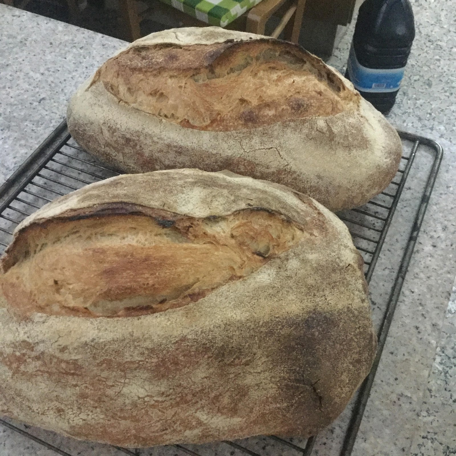COCINAR PARA LOS MIOS: PAN DE MASA MADRE CON T 80 DE ROCA