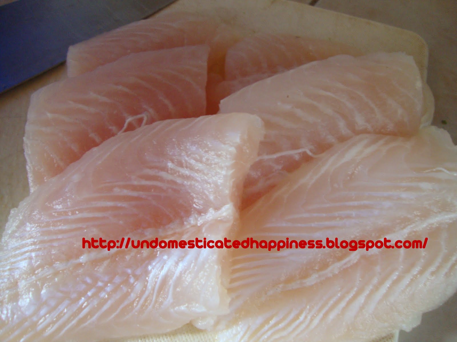 Undomesticated Happiness: Fish Fillet with Cheese Sauce