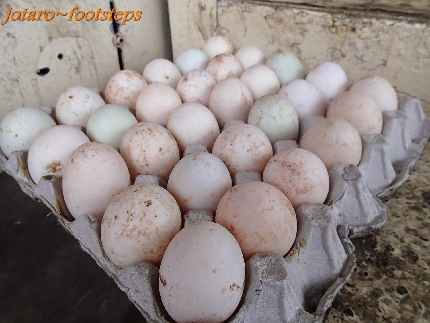Footsteps - Jotaro's Travels: Malaysia 2014 : Salted Duck Egg Factory ...