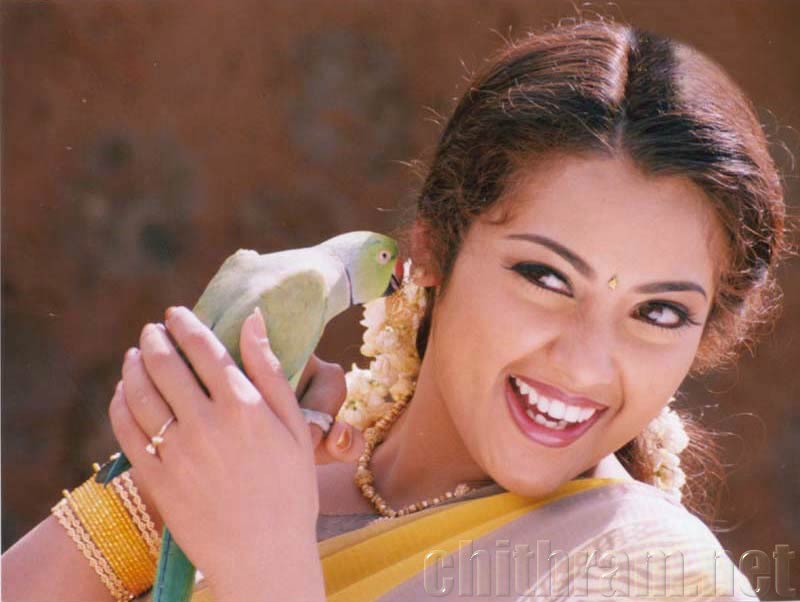 Telugu Hot Actress Wallpapers & Pictures: Hot Actress Meena Telugu ...