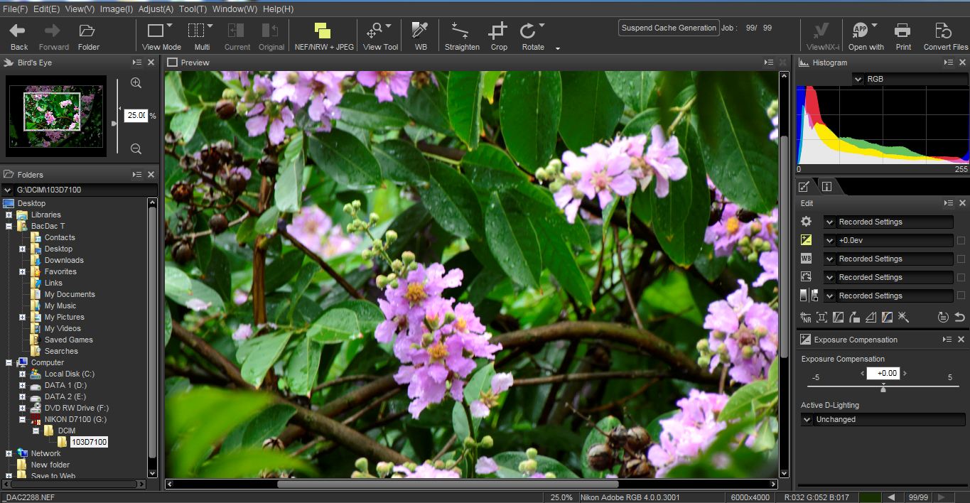CẨM TÚ CẦU: CAPTURE NXD MỘT PHẦN MỀM CAMERA RAW DÀNH RIÊNG CHO NIKONIAN