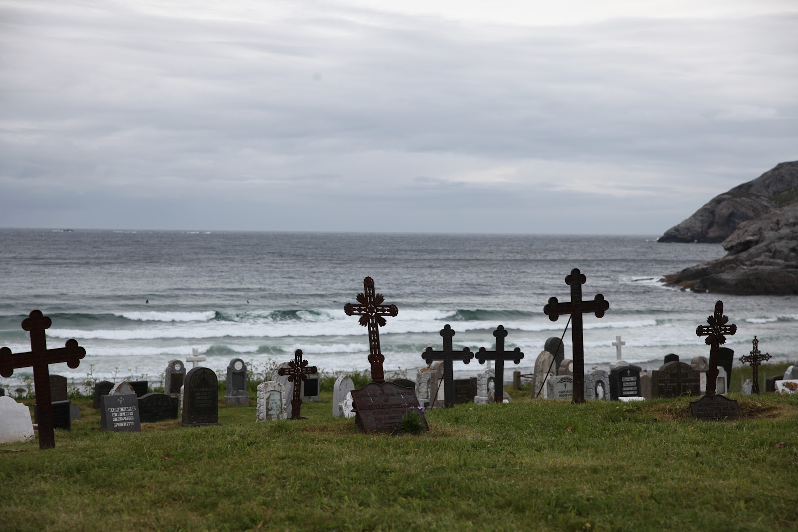 Svalbardliv: Selje og Stadt