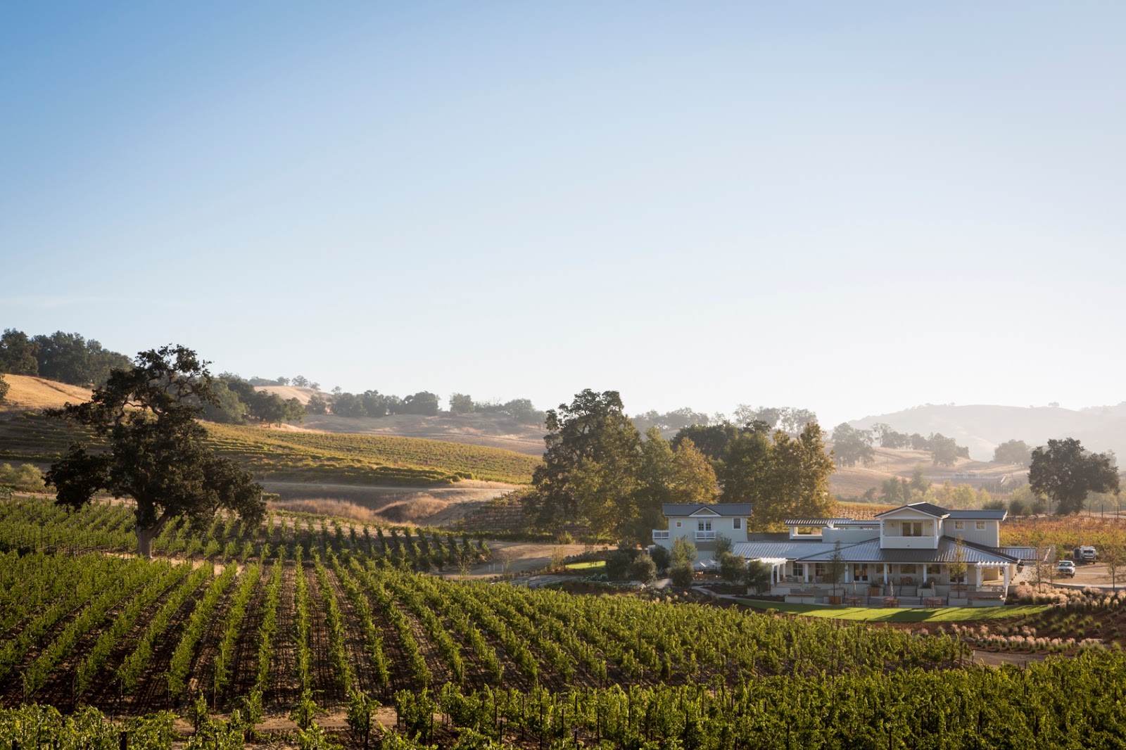Paso Robles - California’s Fastest Growing Wine Region