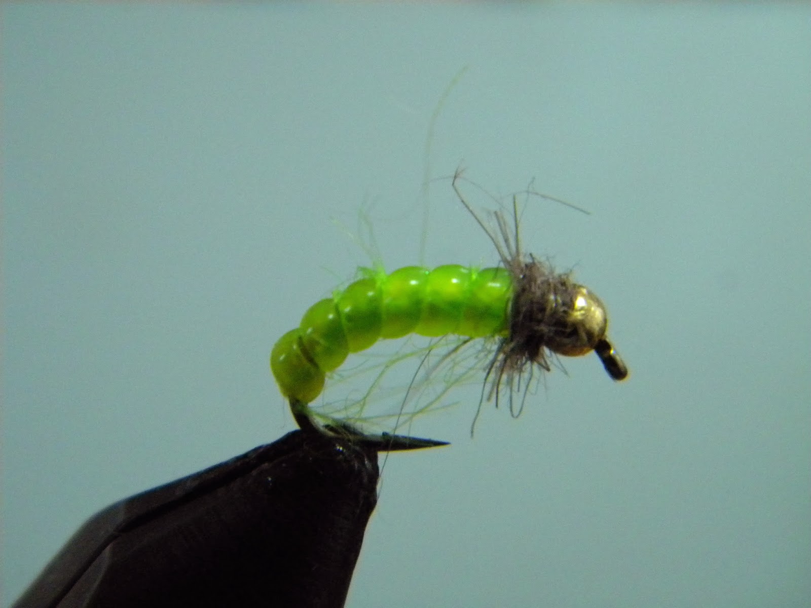 Flies2Fish: A Big Fish Day