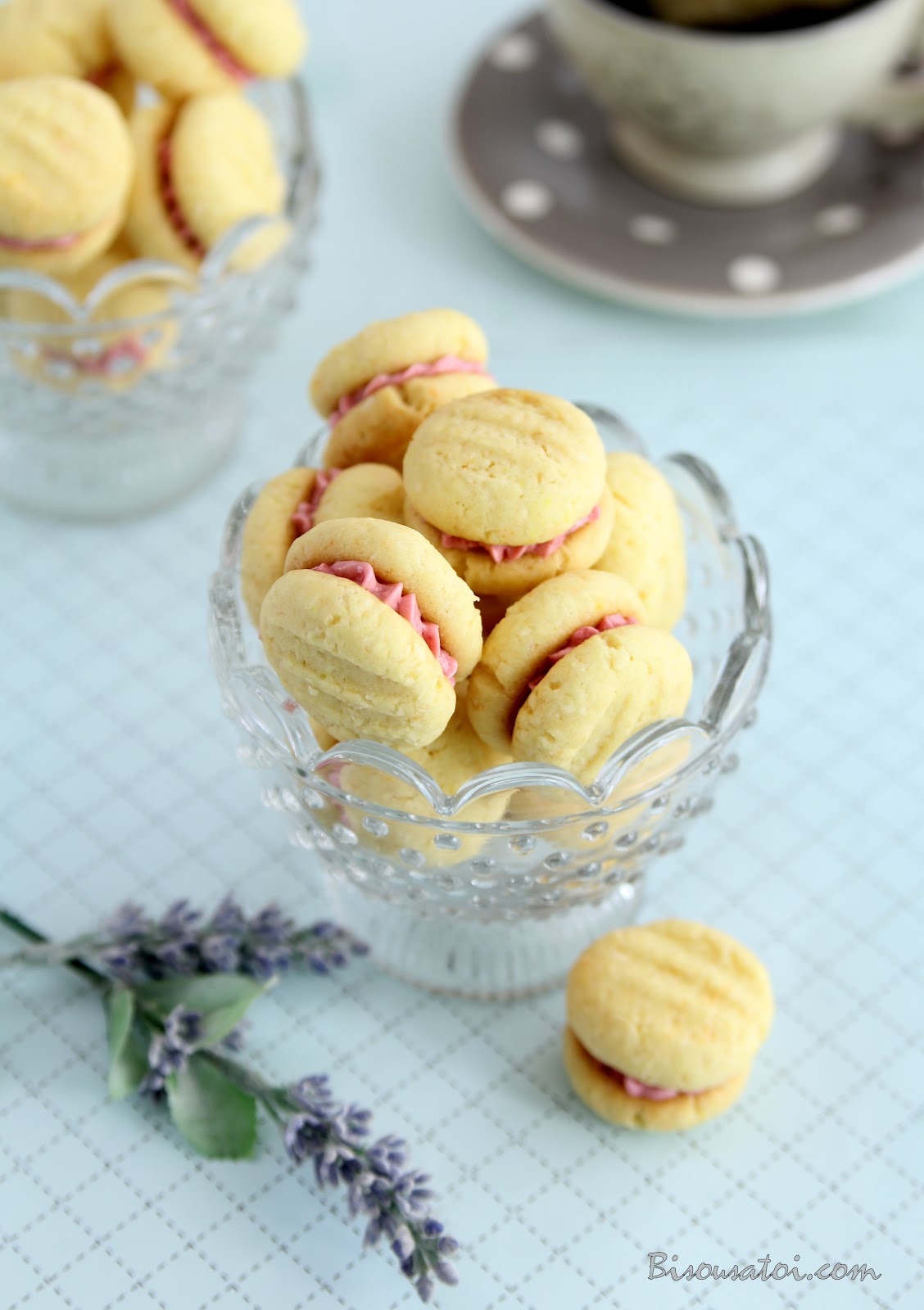 Monte Carlo Biscuits - Bisous À Toi