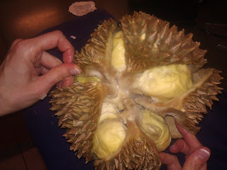 Traci Fruit: Mandolin Slicer Injury WARNING GRAPHIC!!