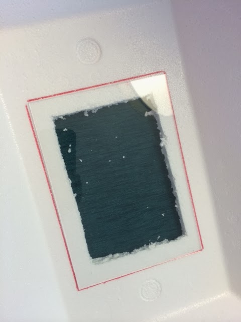 101 Uses for a Cardboard Box: Making an Egg Incubator