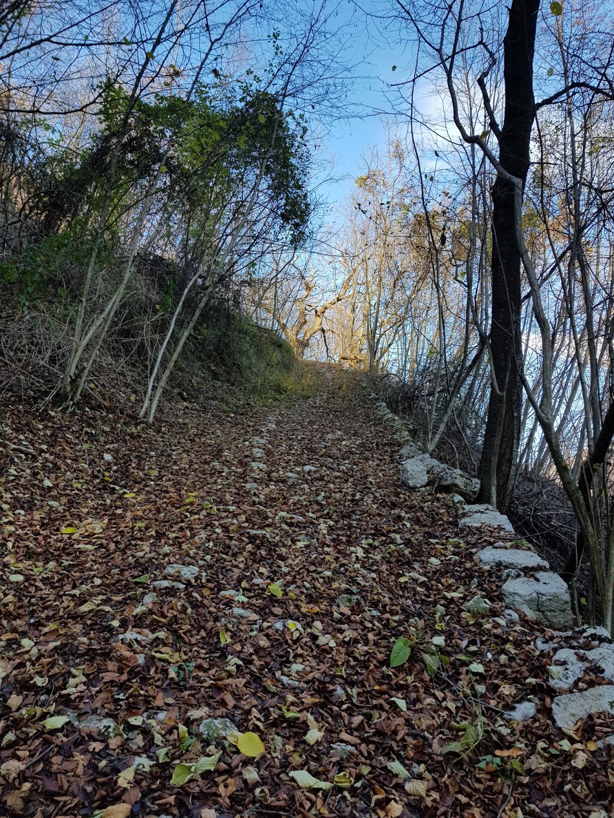 Su strade e sentieri: COL D'ASTIAGO (m. 1.241) - SENTIERO DEL VU - Val ...