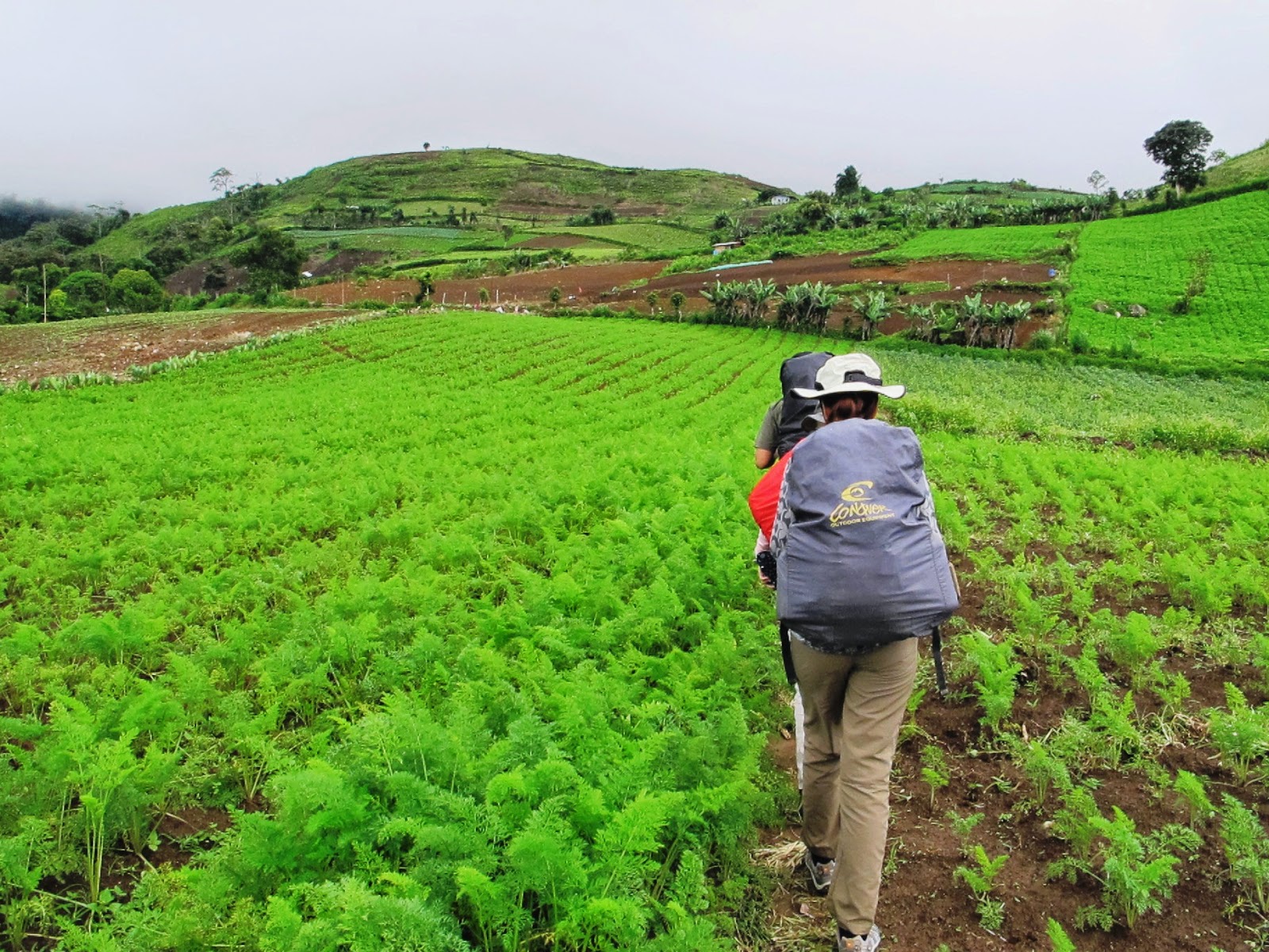 Mount Apo: Kapatagan - Kidapawan Itinerary ~ City Boy Tripper
