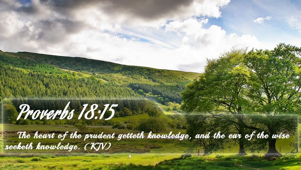 INSPIRATIONAL QUOTES | PROVERBS 18:15