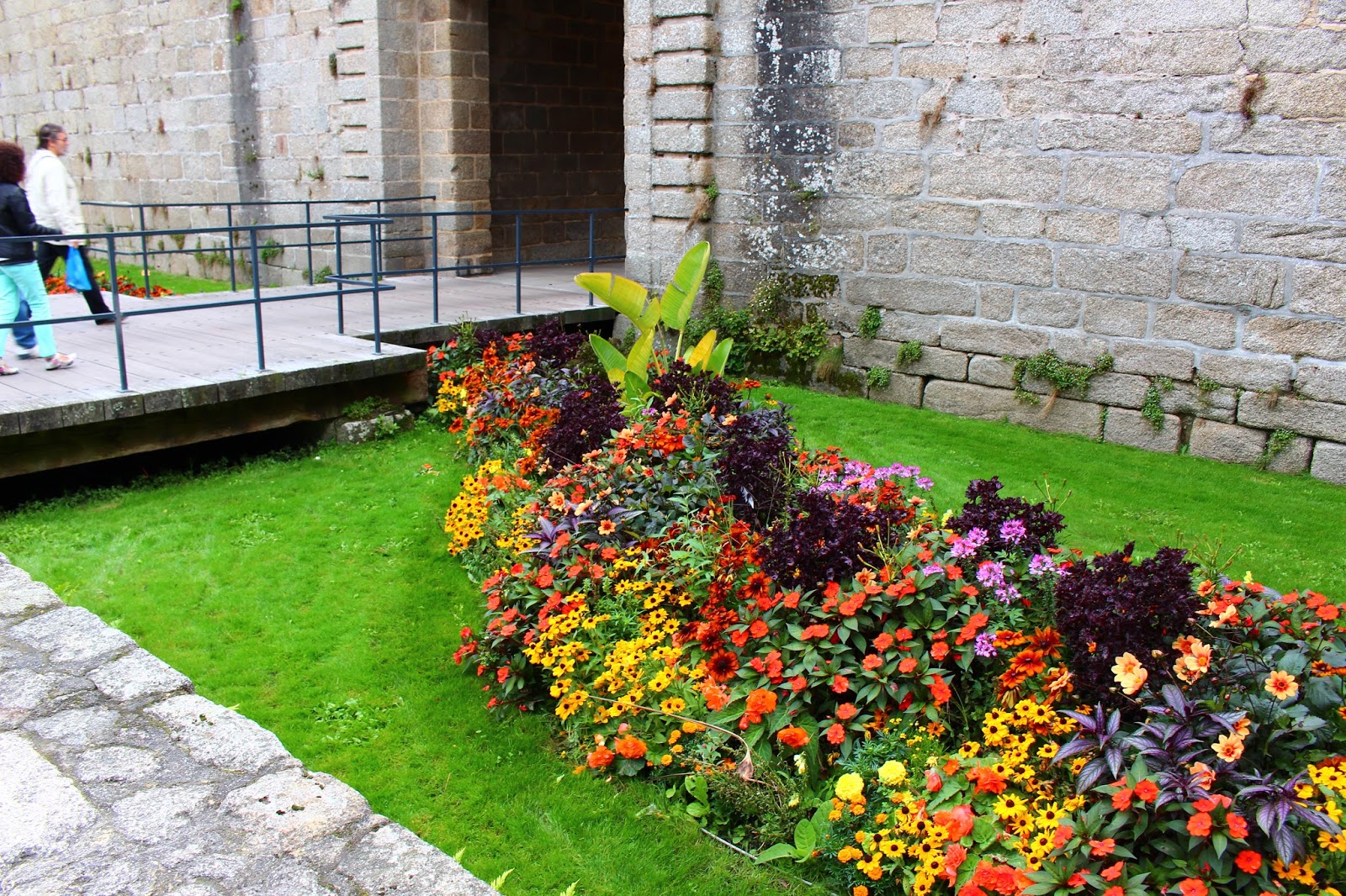 Roses du jardin Chêneland: Un beau massif de plantes annuelles...