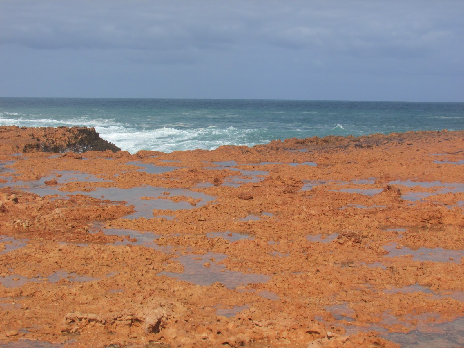 Scheffer Family's Great Aussie Adventure - 2013: 11 September – 12 ...