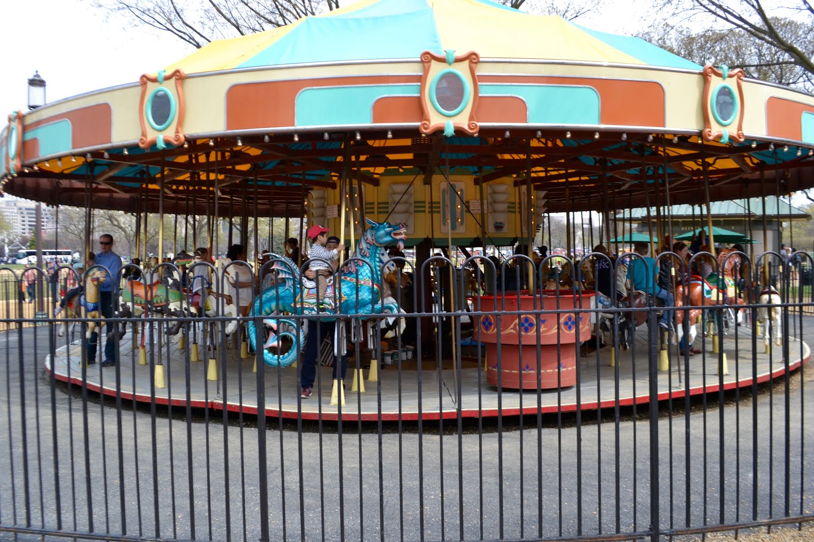 It's All About Purple: Carousel on the Mall
