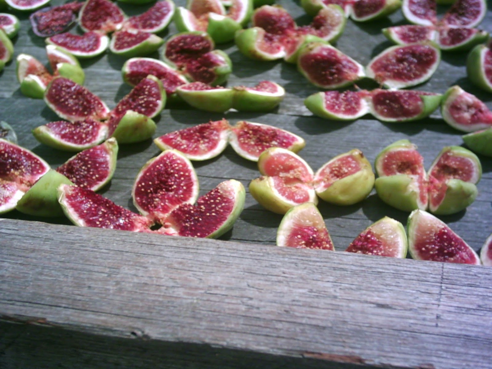 Bee's Blog: Time to get the winter garden up and growing.