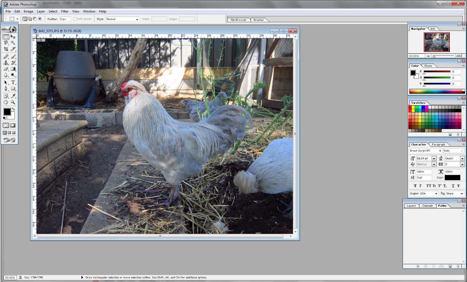 Tutorial - Make a chicken silhouette using Photoshop