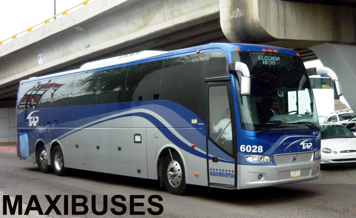 MAXIBUSES: TRANSPORTES Y AUTOBUSES DEL PACÍFICO, CONFORT (TAP CONFORT)