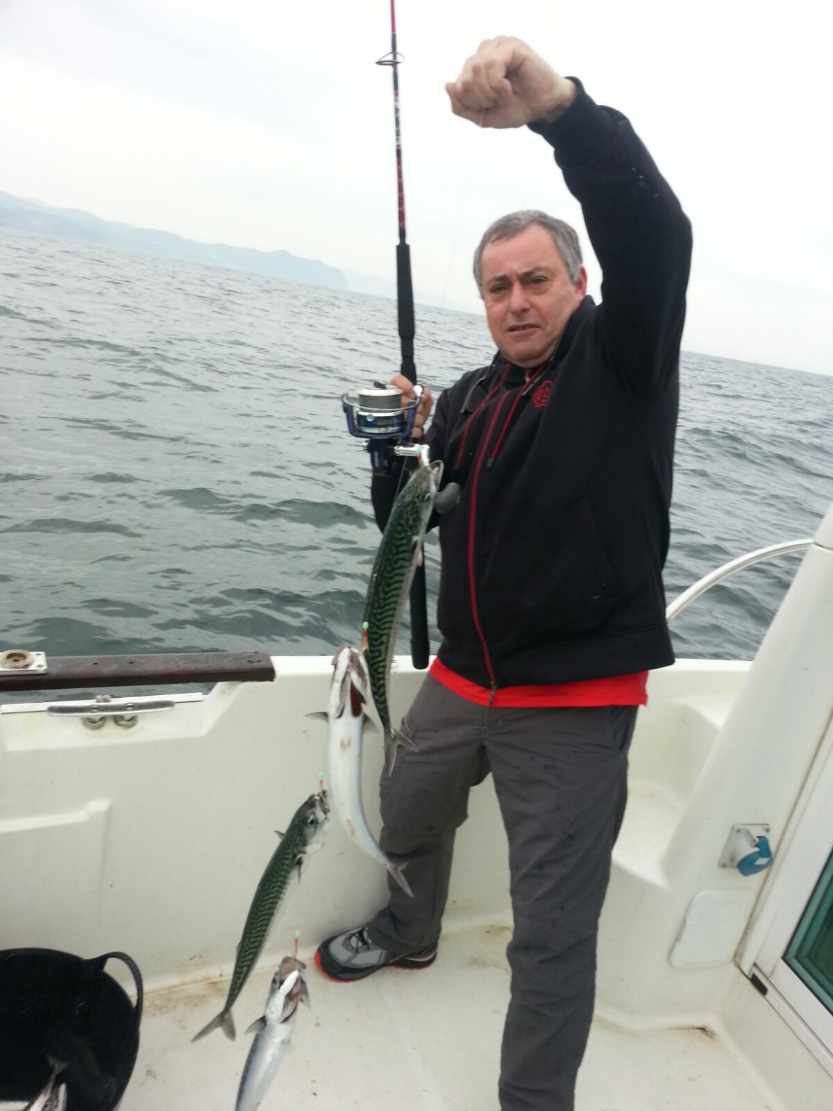 PESCA Y GASTRONOMÍA: LA CABALLA : UN NOMBRE, DOS ESPECIES (MACAREL Y ...