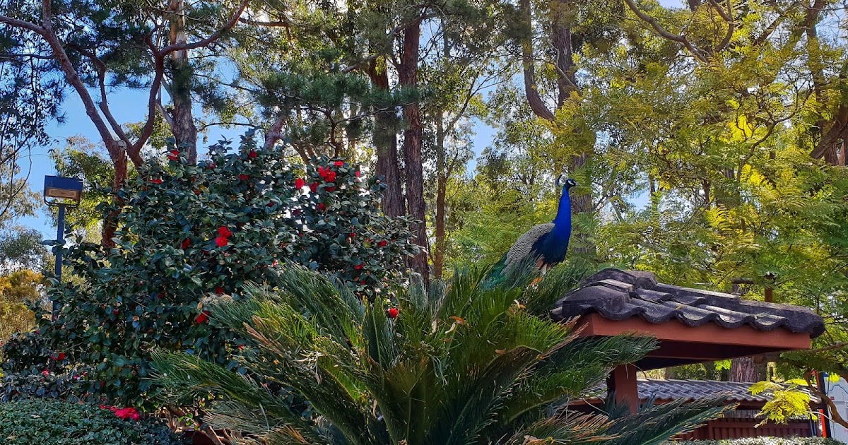 Modern Effective C++ - Examining the different thread destruct behaviors - cppatomic