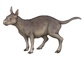 Los animales en la prehistoria: Animales prehistóricos con la letra C