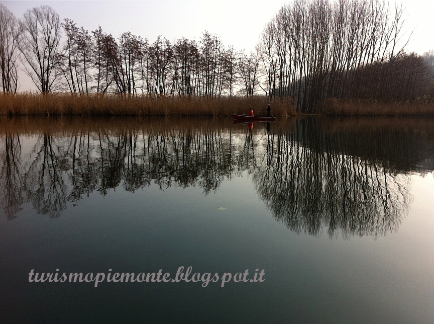 TURISMO PIEMONTE: PARCO NATURALE DI CANDIA, TORINO
