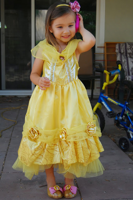 Mama Sparkles: Princess Pinga - Disney Princess Costumes Review