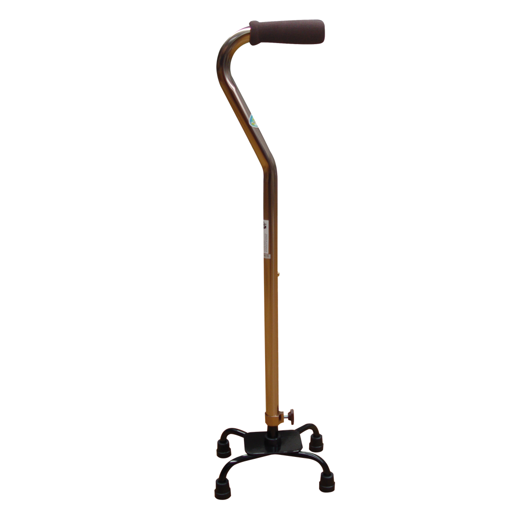 Los Bastones Como Ayuda Para Caminar