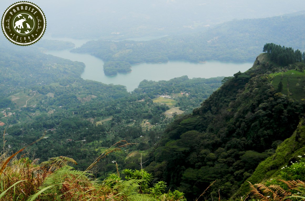 Safari Sri Lanka: Peacock hill - Pussellawa